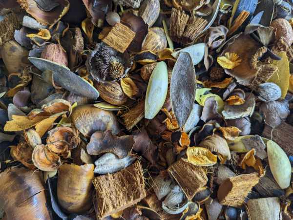 Yellow Chunky Unscented Potpourri – Rachel's Potpourri